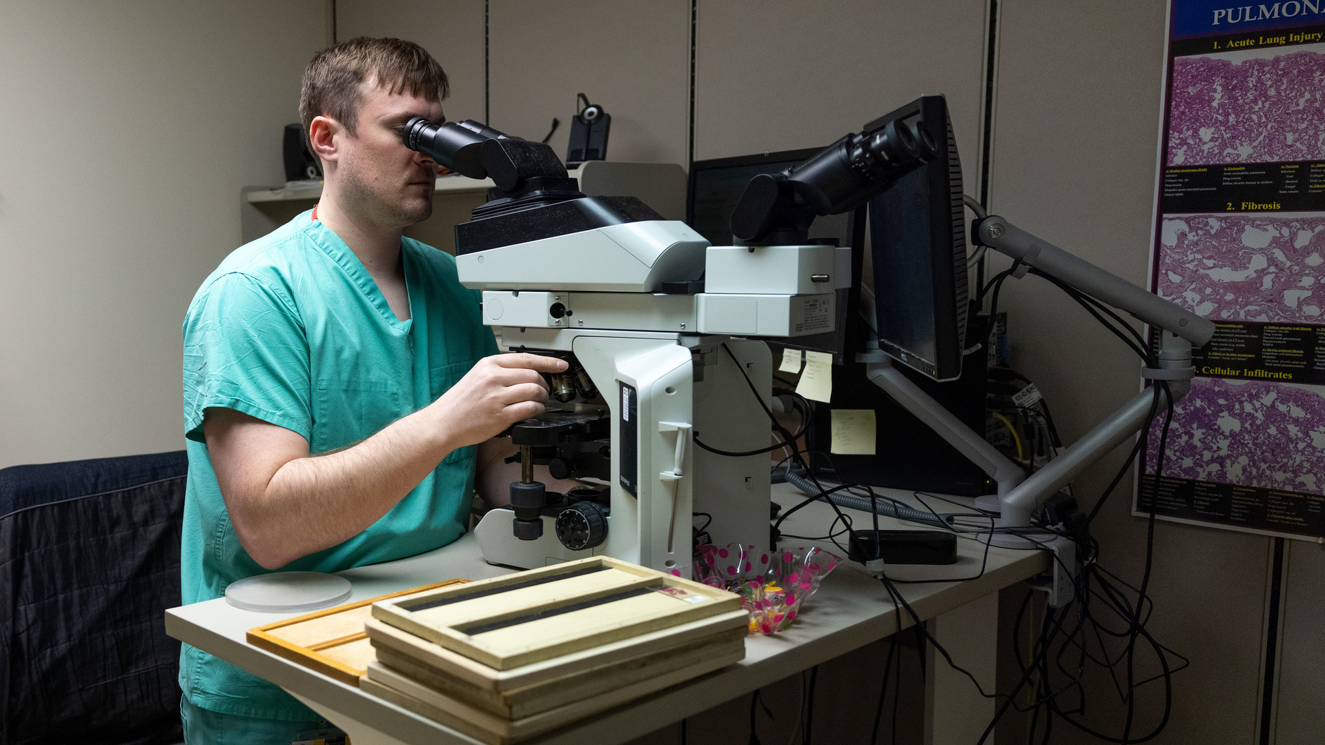 University of Iowa Diagnostic Laboratories (UIDL) | Carver College of ...
